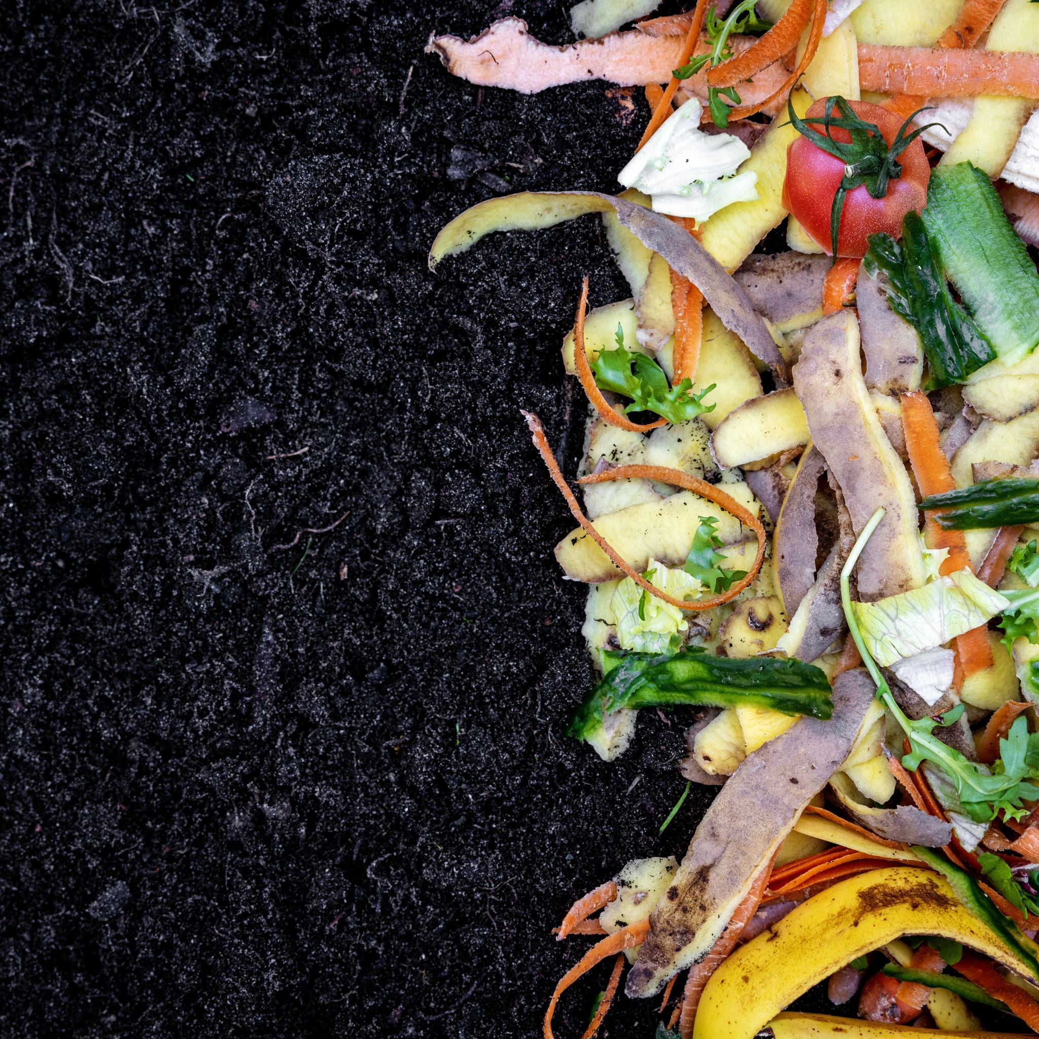 Compost